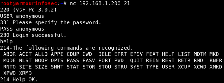 Hacking with Netcat : A Comprehensive Guide - Armour Infosec